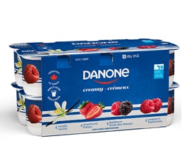 Danone Creamy Fruit Yogurt | Danone